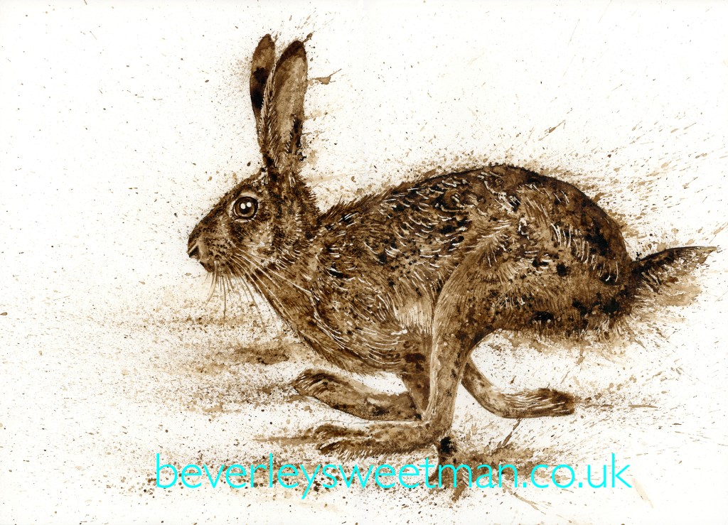 Running Hare - Walnut Ink painting and prints, bags & cards · Beverley ...
